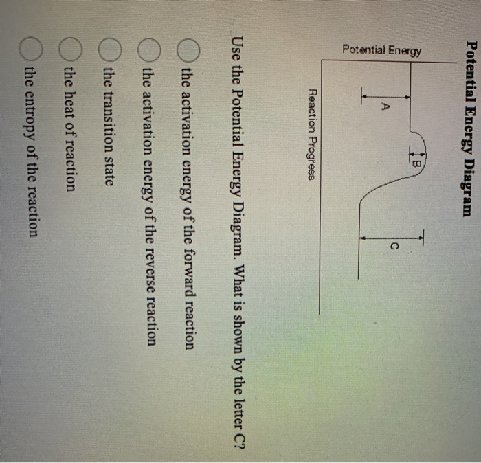 Solved Potential Energy Diagram B с Potential Energy А | Chegg.com