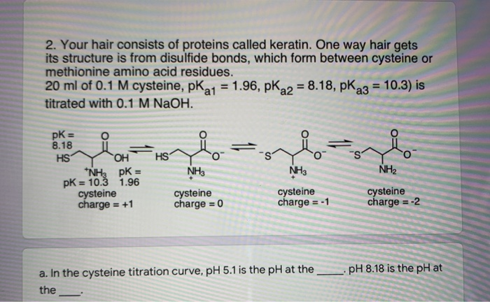 Solved 2. Your hair consists of proteins called keratin. One | Chegg.com