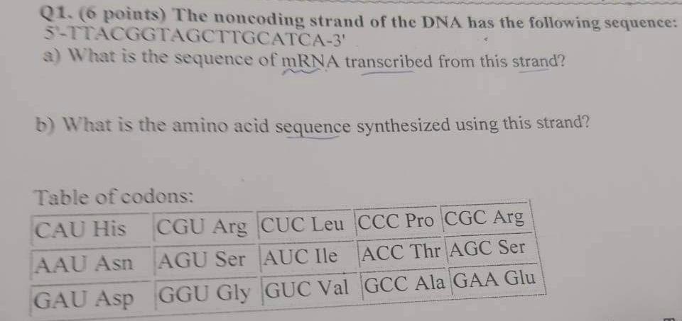 Solved Q1. (6 ﻿points) ﻿The noncoding strand of the DNA has | Chegg.com