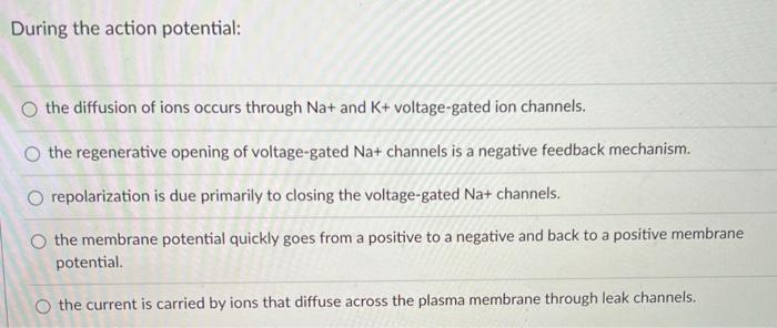 Solved During the action potential: the diffusion of ions | Chegg.com