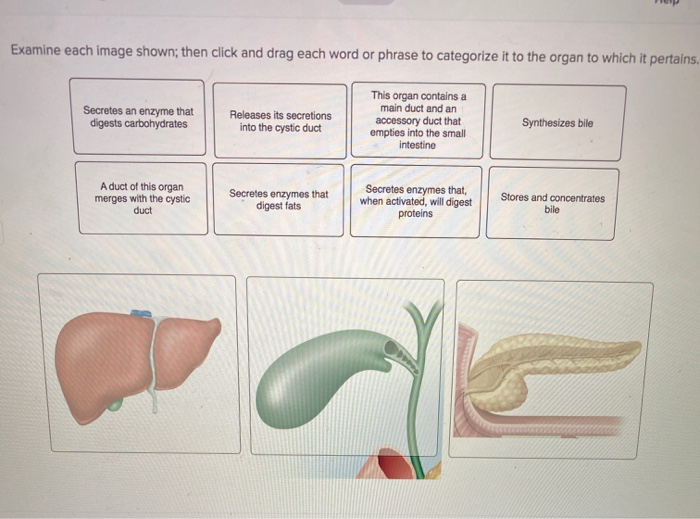 Solved Help Save & Exit Subm Categorize the function(s) of | Chegg.com