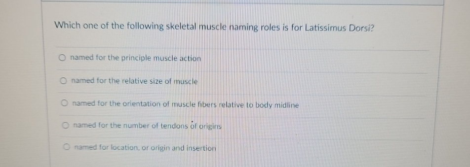 Solved Which one of the following skeletal muscle naming | Chegg.com