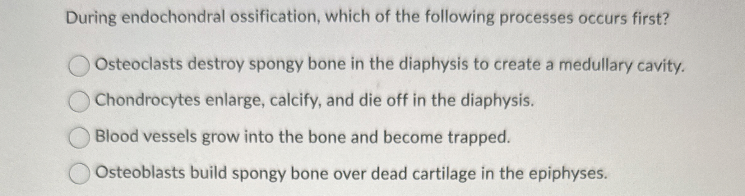 Solved During endochondral ossification, which of the | Chegg.com