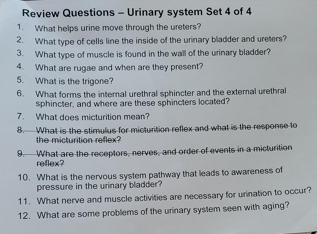 Solved 1. What stimuli increase ADH secretion? Decrease ADH | Chegg.com