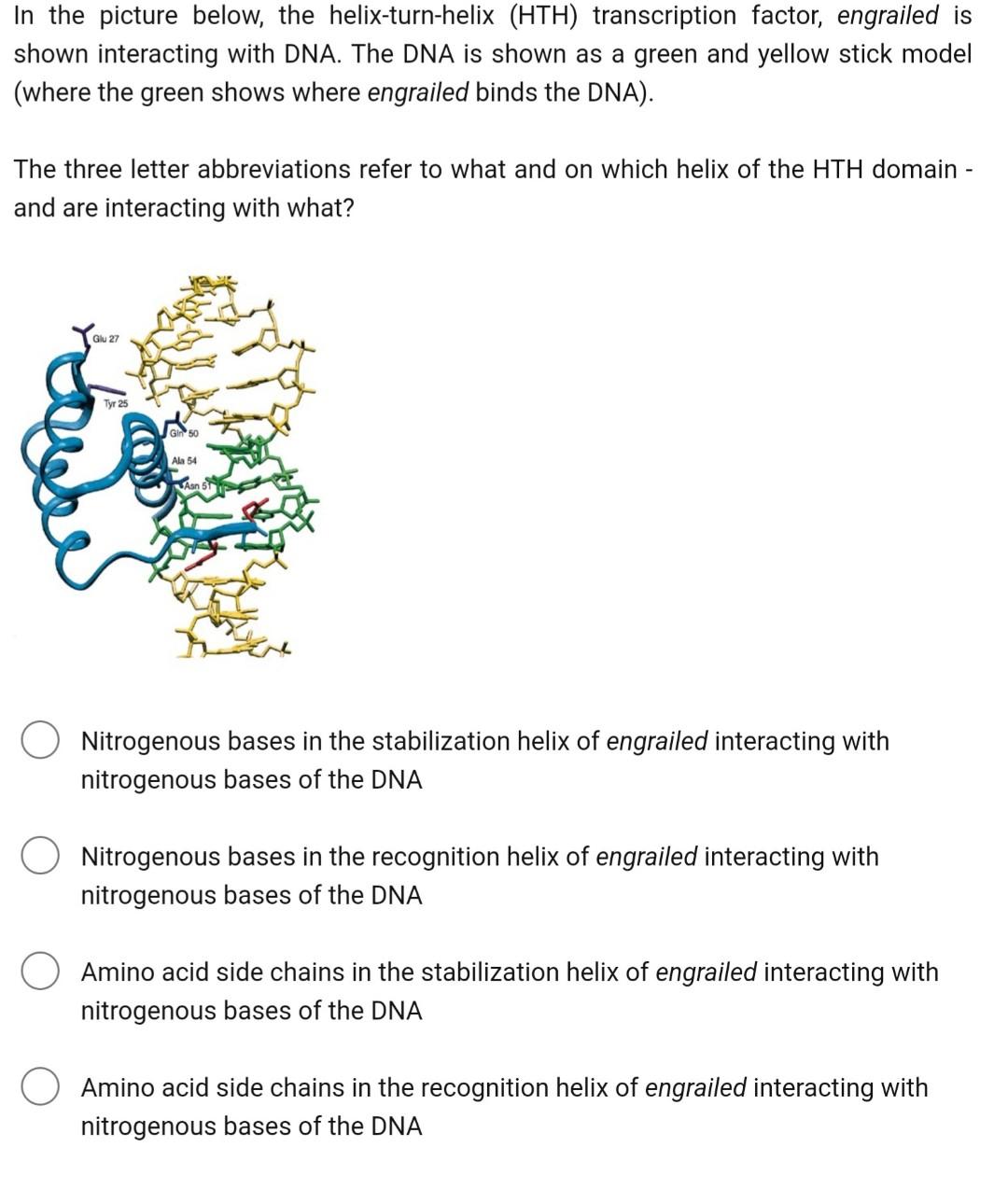 Solved In the picture below, the helix-turn-helix (HTH) | Chegg.com