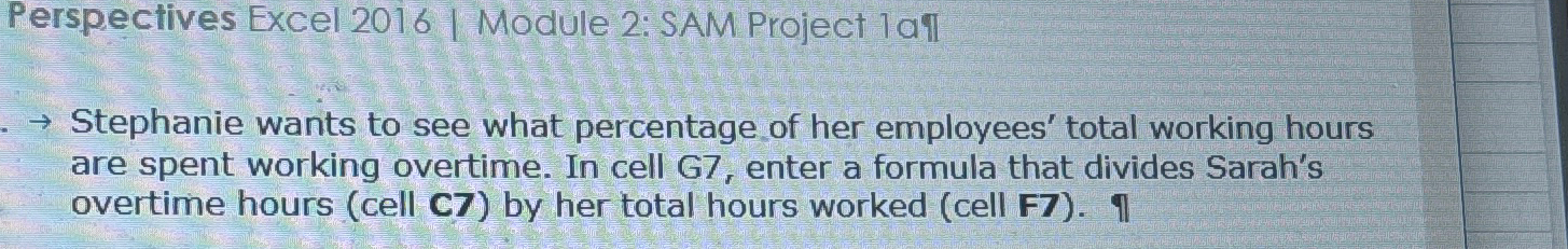 Solved Perspectives Excel 2016 | ﻿Module 2: SAM Project | Chegg.com