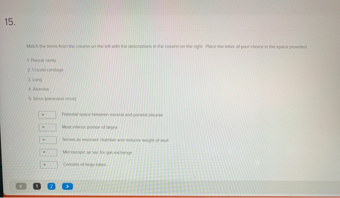 Solved 15. Match the terms from the column on the left with | Chegg.com