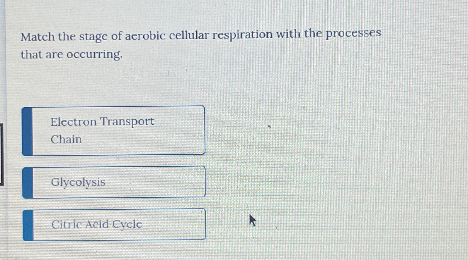 Solved Match the stage of aerobic cellular respiration with | Chegg.com