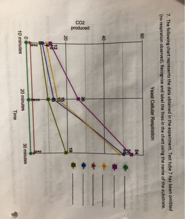 Solved 7. The following chart represents the data obtained | Chegg.com