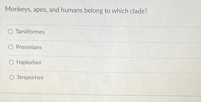 Monkeys, apes, and humans belong to which clade? | Chegg.com