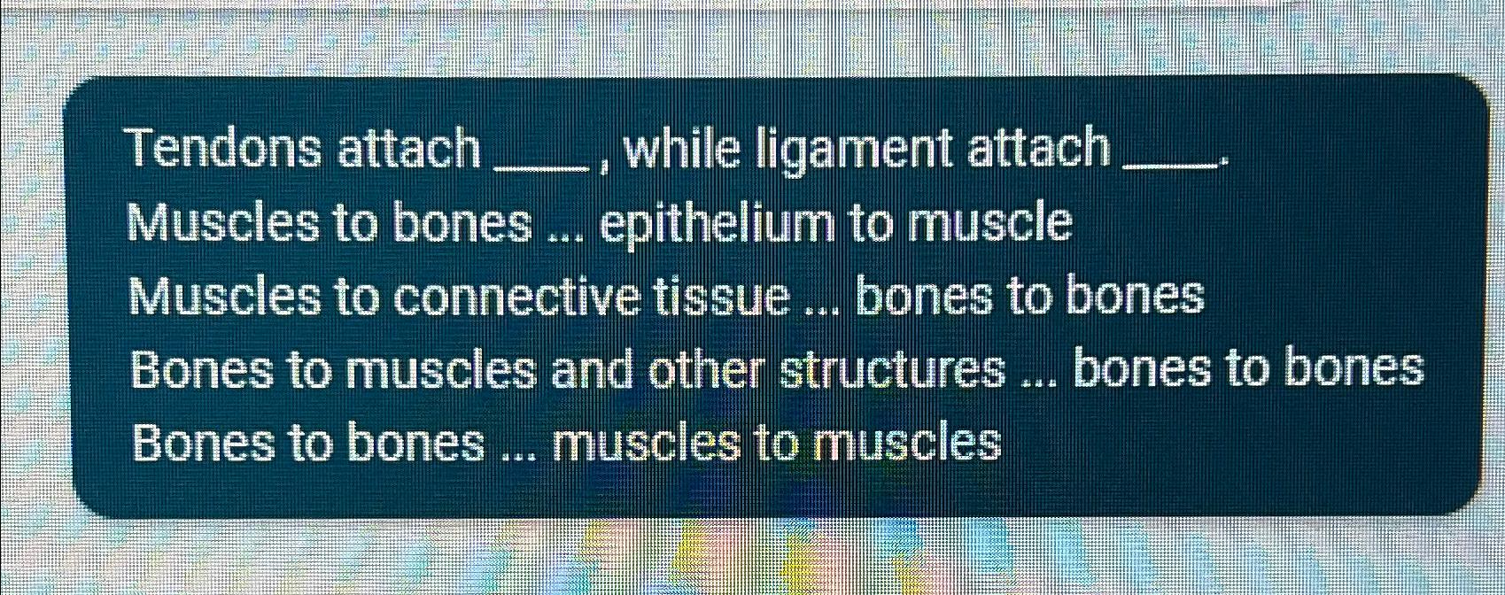Solved Tendons attach , while ligament attach Muscles to | Chegg.com Solved Tendons attach , while ligament attach Muscles to | Chegg.com