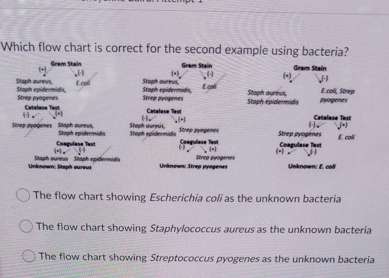 Solved Which flow chart is correct for the second example | Chegg.com