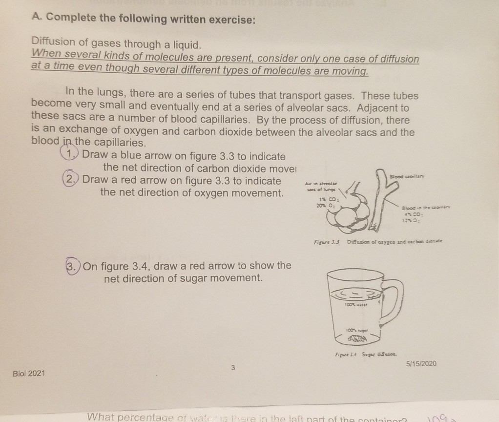 Solved A. Complete the following written exercise: Diffusion | Chegg.com