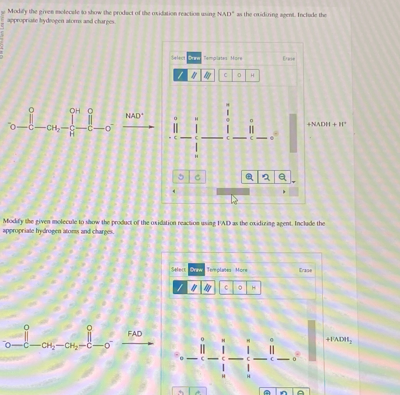 Solved Modify the given molecule to show the product of the | Chegg.com