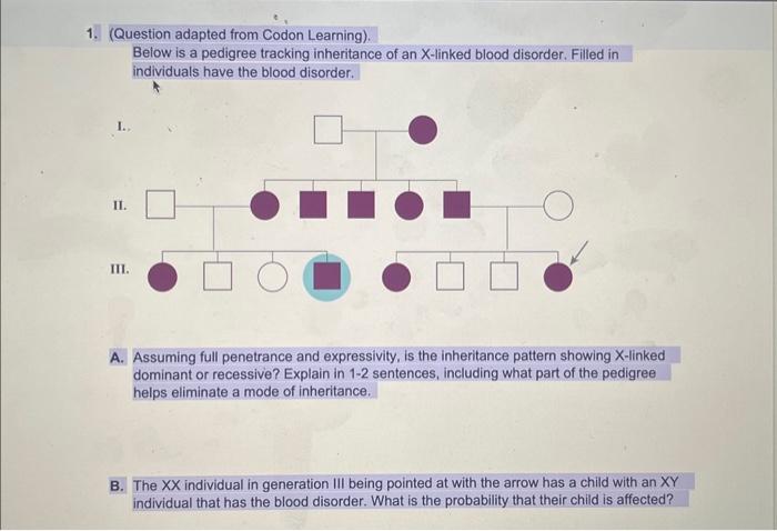 Solved (Question adapted from Codon Learning). Below is a | Chegg.com