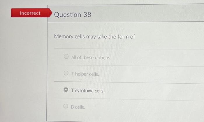 Solved Memory cells may take the form of all of these | Chegg.com