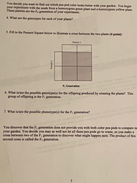 Solved EXERCISE 2: Punnett Squares Read the explanations and | Chegg.com
