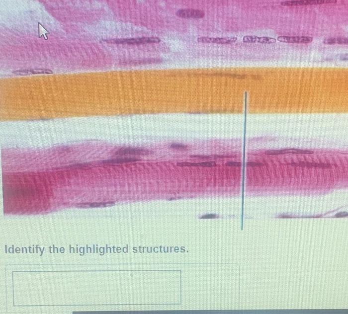 Solved 2. 20 29 3 02 SO CD 90 Identify the highlighted | Chegg.com
