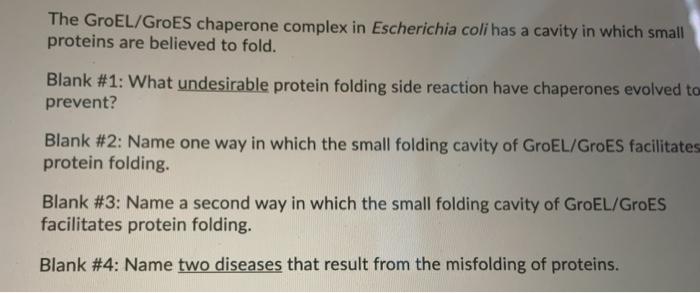 Solved The GroEl/GroES chaperone complex in Escheria coli | Chegg.com