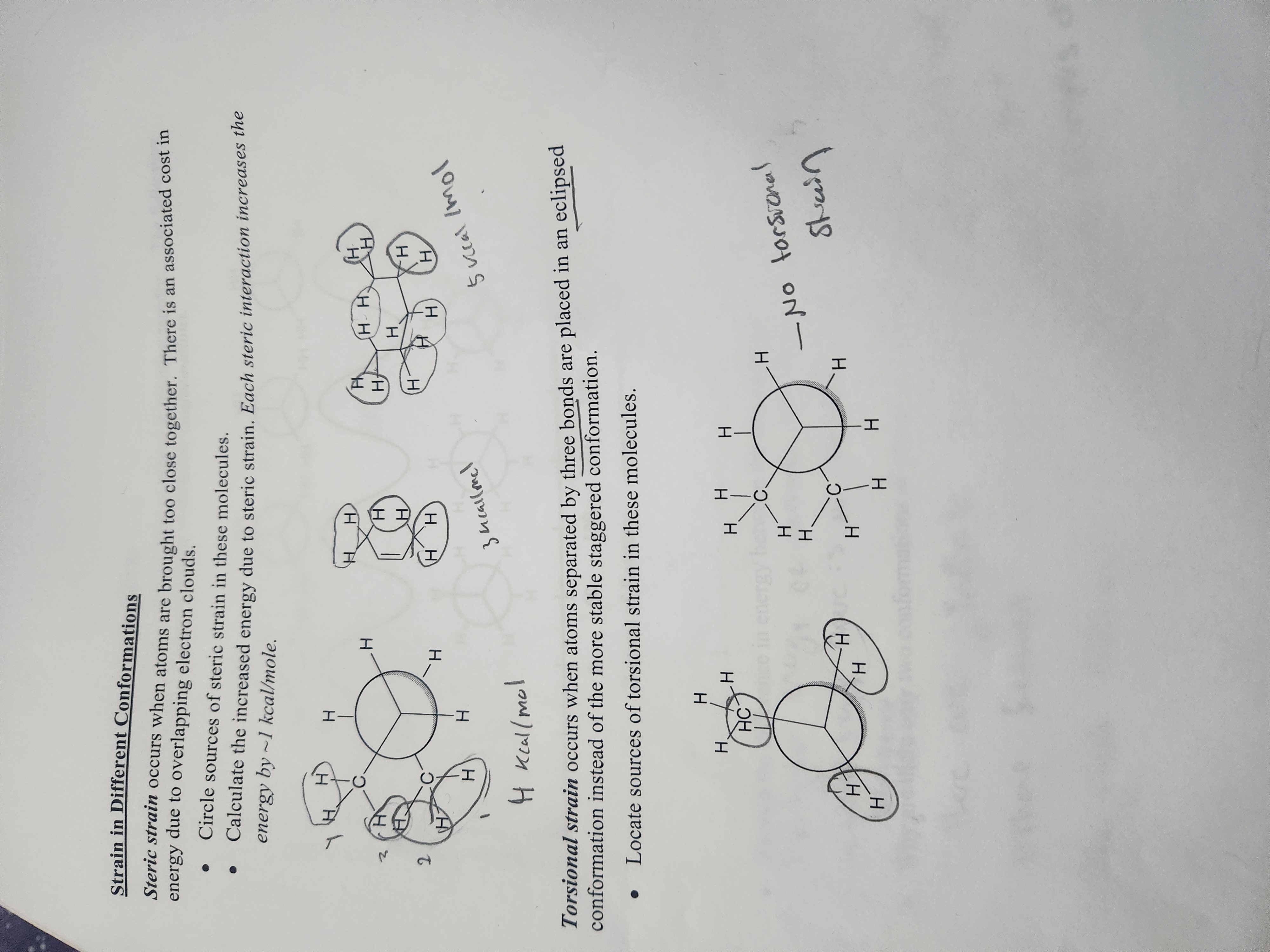 Strain In Different Conformationssteric Strain Occurs 5722