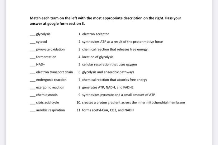 Solved Match each term on the left with the most appropriate | Chegg.com