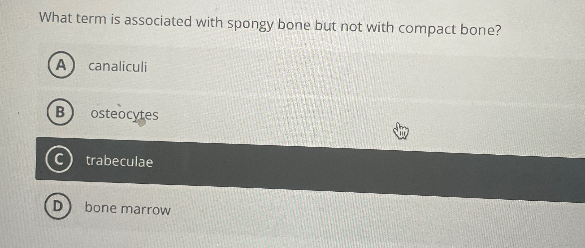 Solved What term is associated with spongy bone but not with | Chegg.com