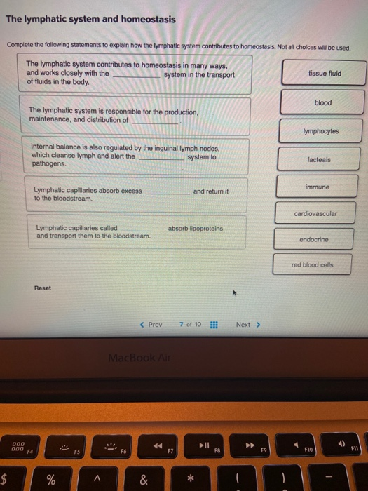 Solved The lymphatic system and homeostasis Complete the | Chegg.com