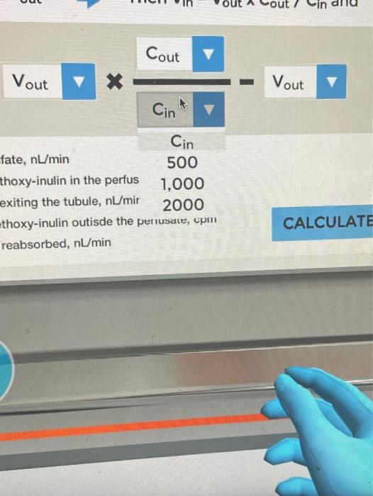 REABSORBED FLUID RATE With Cin X Vin = Cout X Vout | Chegg.com