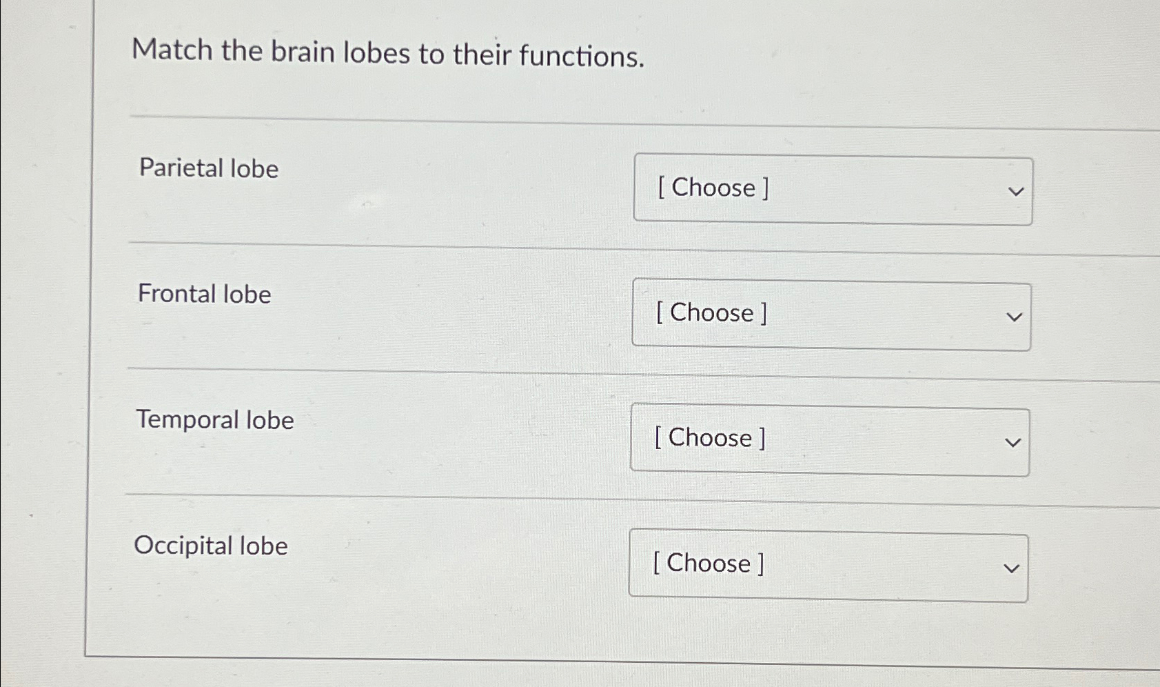 Solved Match the brain lobes to their functions.Parietal | Chegg.com