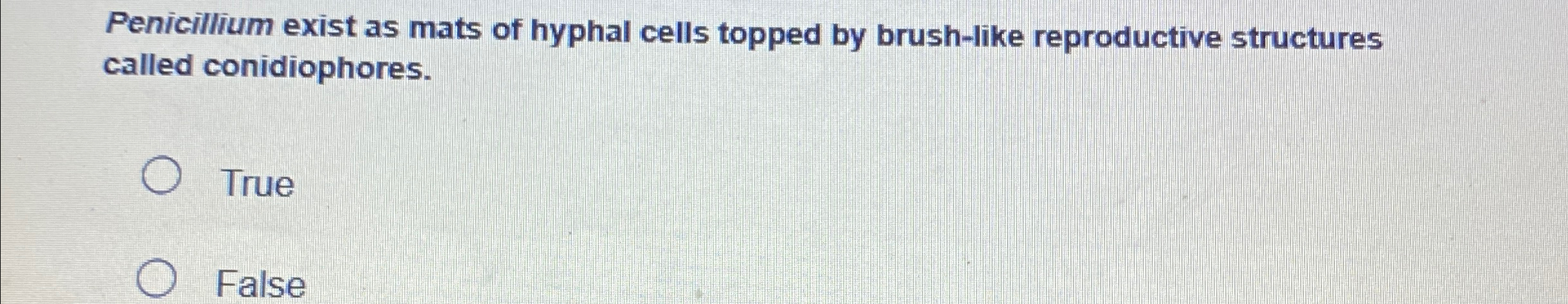 Solved Penicillium exist as mats of hyphal cells topped by | Chegg.com