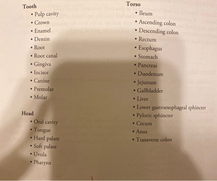 Solved 13. Label the figures. SLLLL999999 CHAPTER 12: | Chegg.com