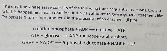 Solved The creatine kinase assay consists of the following | Chegg.com