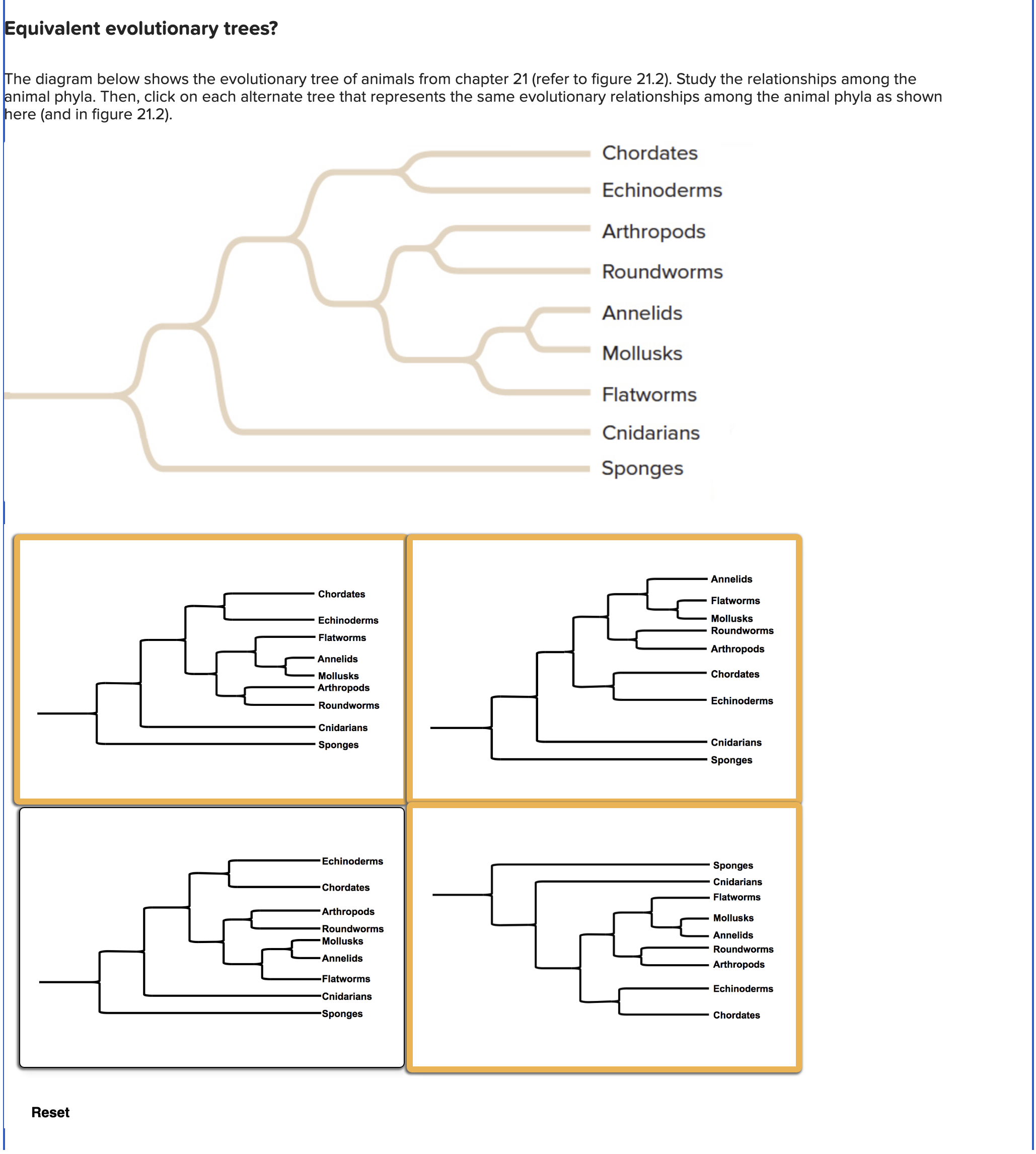 Solved Equivalent evolutionary trees?The diagram below shows | Chegg.com