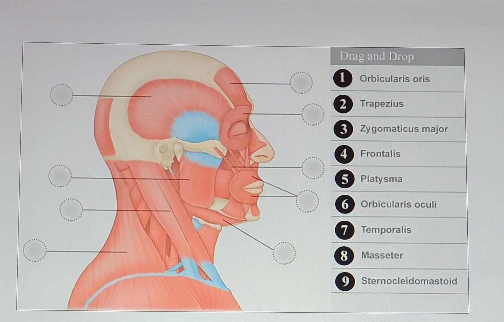 Solved label this | Chegg.com