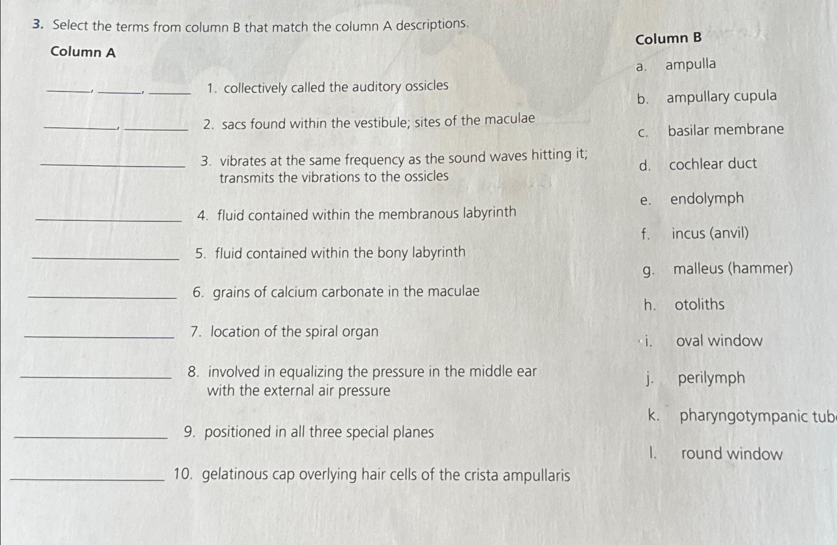 Solved Select the terms from column B that match the column | Chegg.com