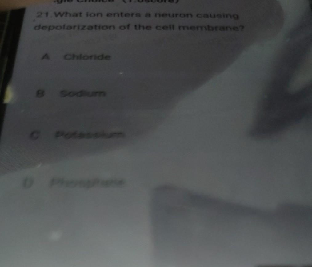 Solved 21 What Ion Enters A Neuron Causing Depolarization