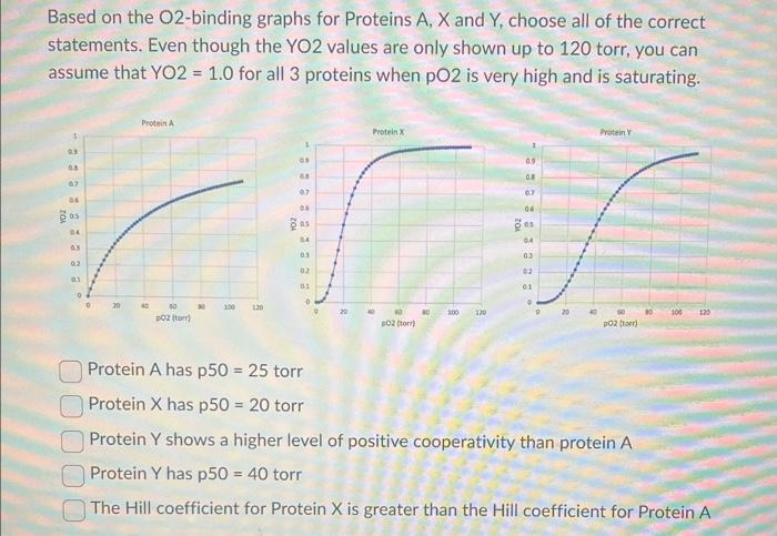 Solved Based on the O2-binding graphs for Proteins A,X and | Chegg.com