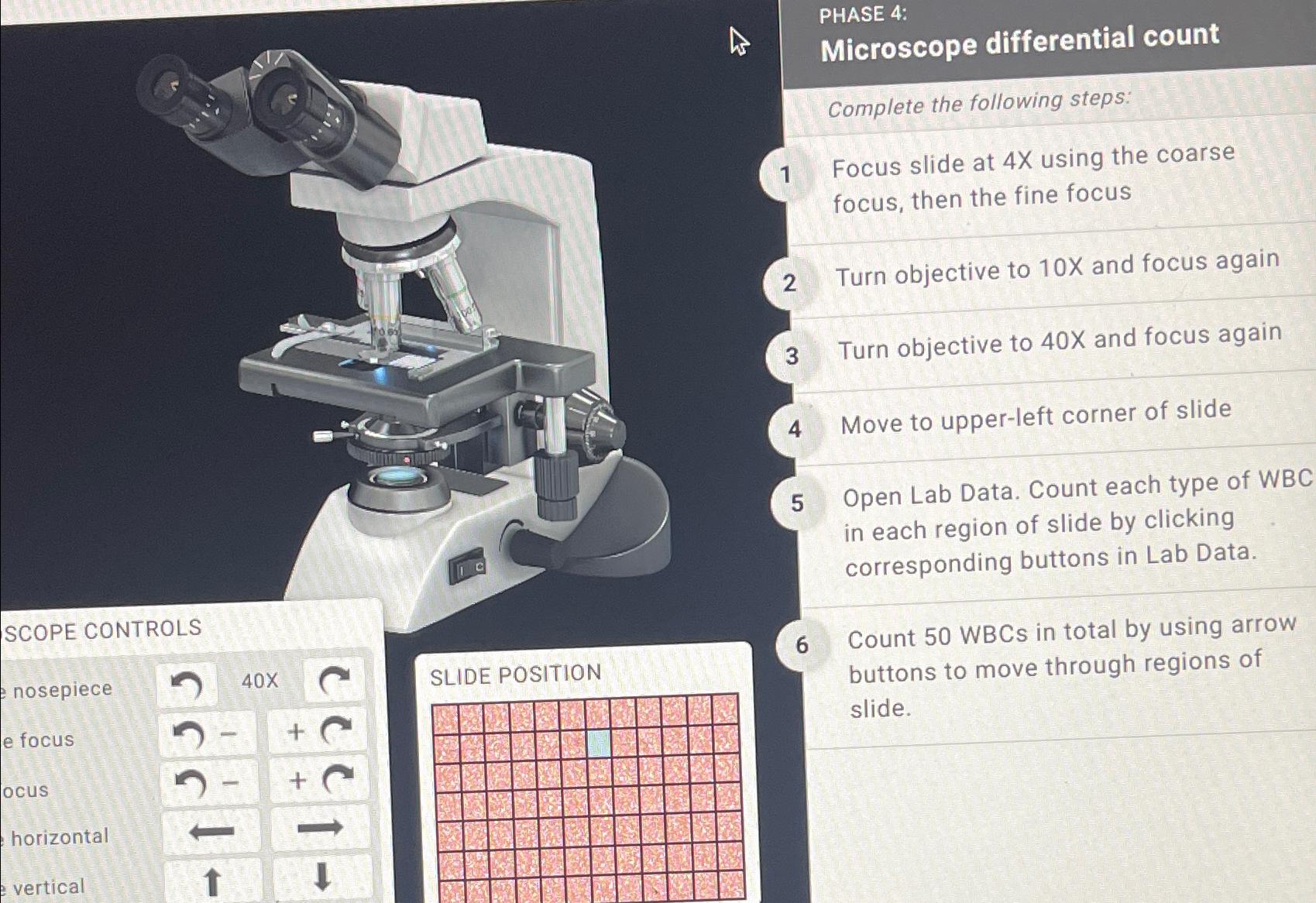 Solved PHASE 4:Microscope differential countComplete the | Chegg.com Solved PHASE 4:Microscope differential countComplete the | Chegg.com