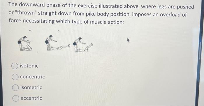 Solved The downward phase of the exercise illustrated above, | Chegg.com