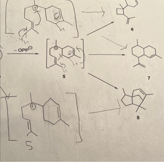 Solved what is the arrow pushing mechanism between 5 and 8? | Chegg.com