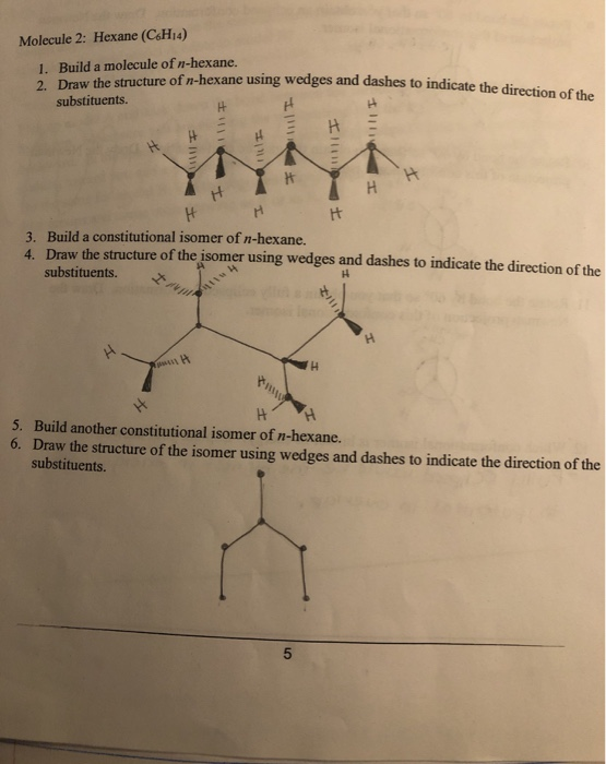 Solved Molecule 2: Hexane (C6H14) 1. Build a molecule of | Chegg.com