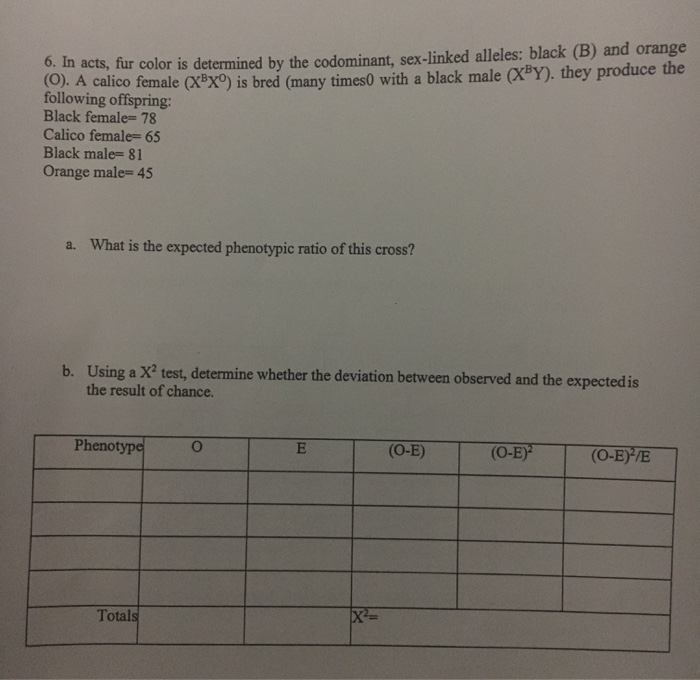 Solved "acts, fur color is determined by the codominant, | Chegg.com