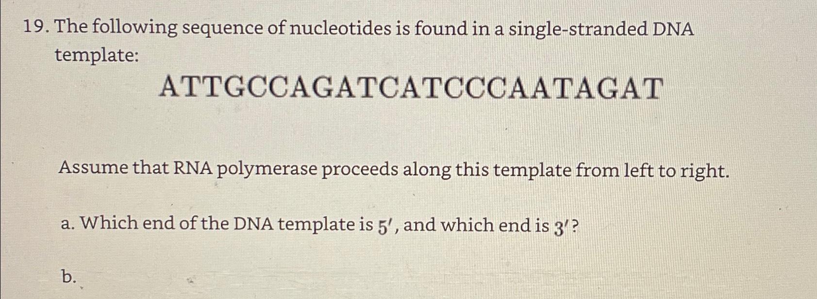 Solved The following sequence of nucleotides is found in a | Chegg.com
