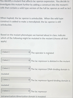 Solved You identify a mutant that affects lac operon | Chegg.com