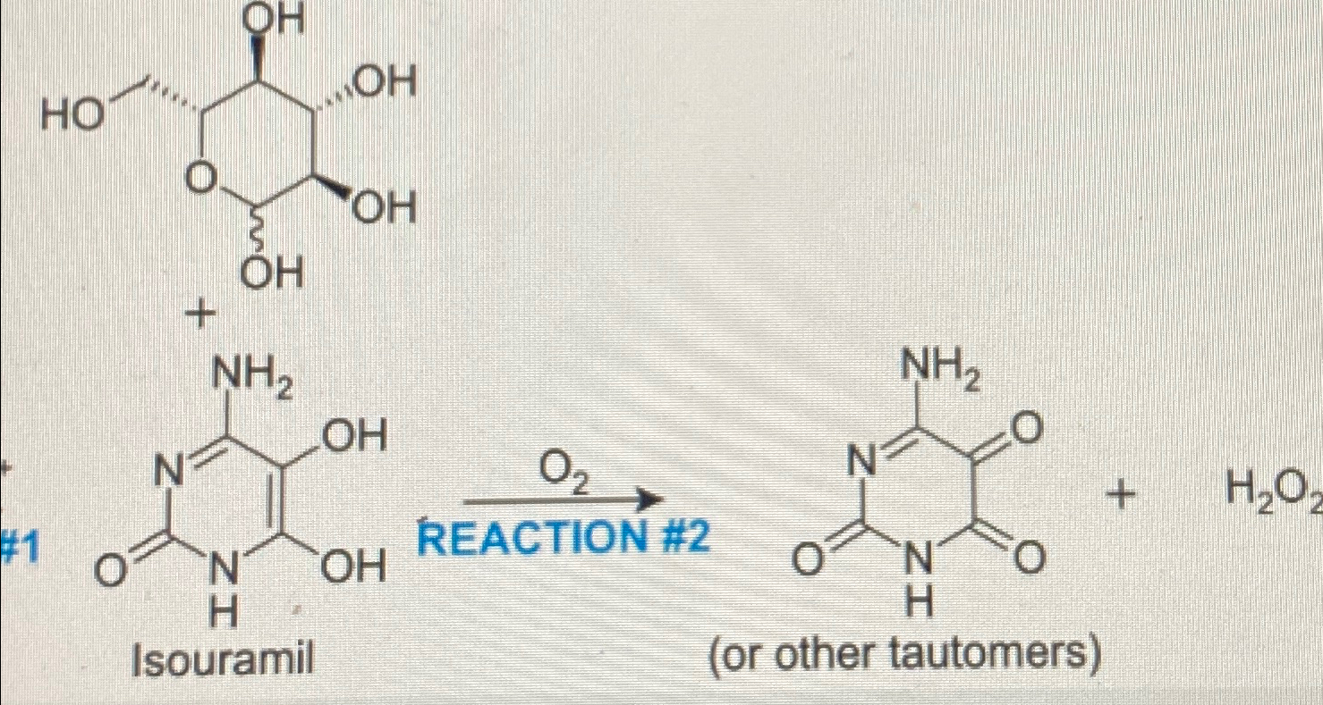 Solved Please help provide a mechanism from isouramil to | Chegg.com