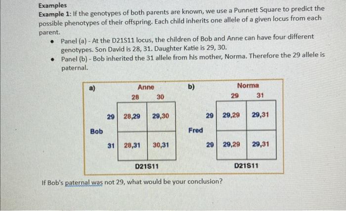 Solved Examples Example 1: If the genotypes of both parents | Chegg.com