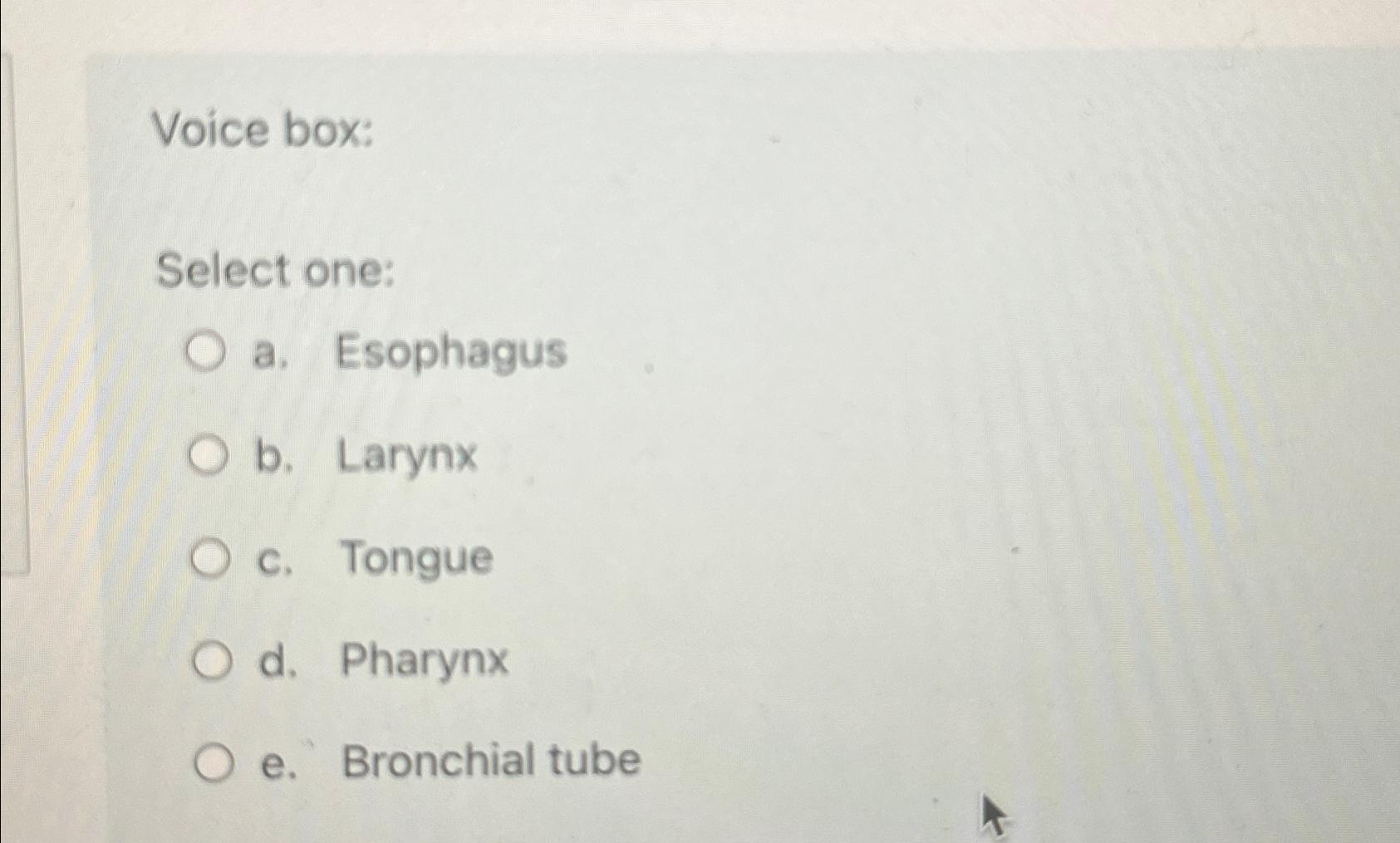 Solved Voice box:Select one:a. ﻿Esophagusb. ﻿Larynxc. | Chegg.com