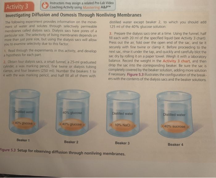 4. Explain why methylene blue diffuses at different | Chegg.com