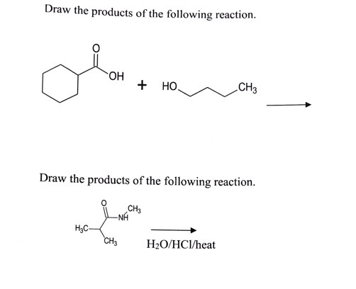 Solved Draw the products of the following reaction. OH + НО, | Chegg.com