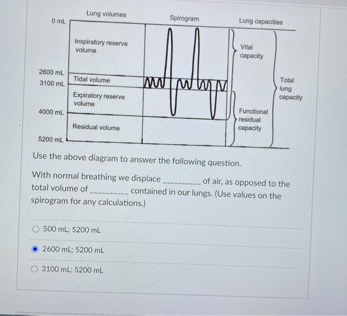 Solved Lung volumes O mL Spirogram Lung capacities | Chegg.com